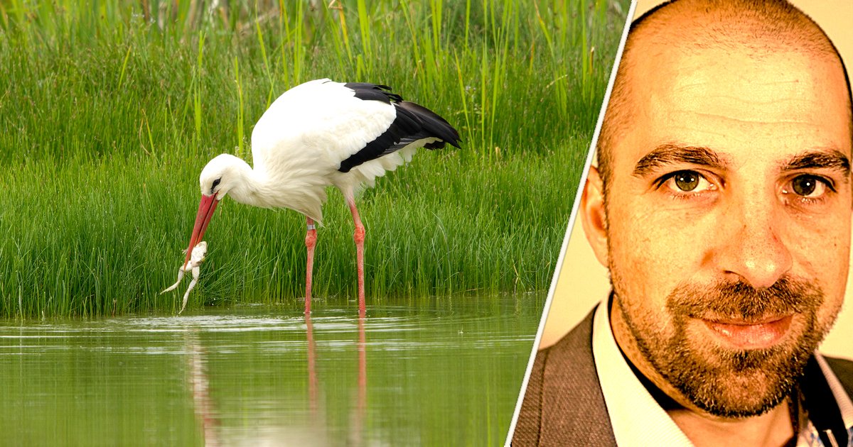 Natur: Was Menschen von ihr und mit ihr lernen können